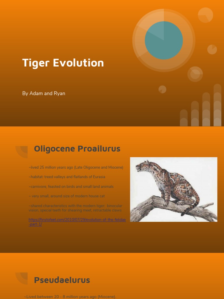 Tiger Evolution | PDF