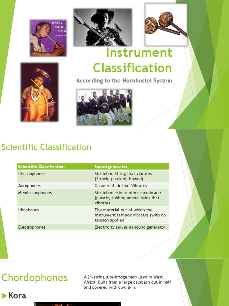A Comprehensive Classification of Traditional Musical Instruments ...