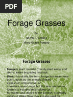 Forage Grasses and Legumes List | PDF | Legume | Clover
