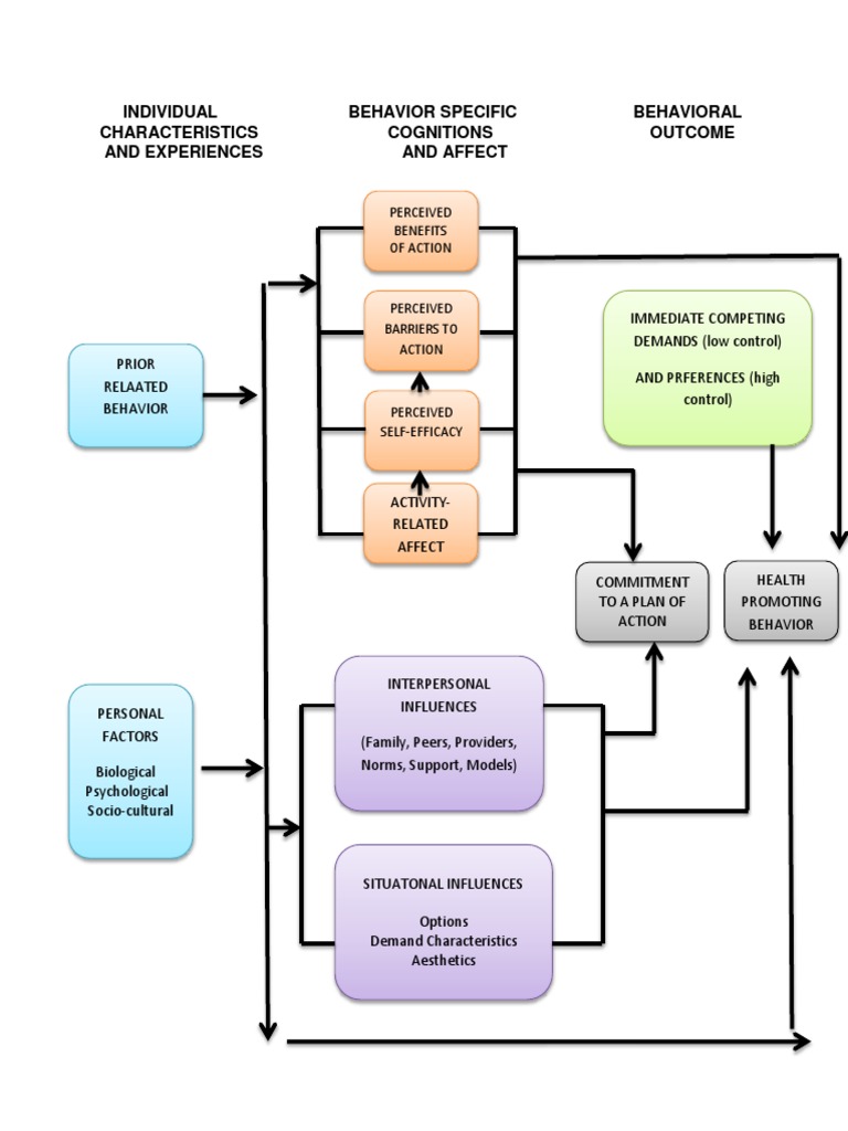 Theoretical Framework | PDF | Self Efficacy | Interpersonal Communication