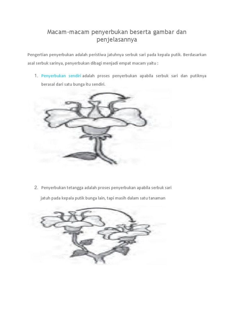 Macam Penyerbukan | PDF