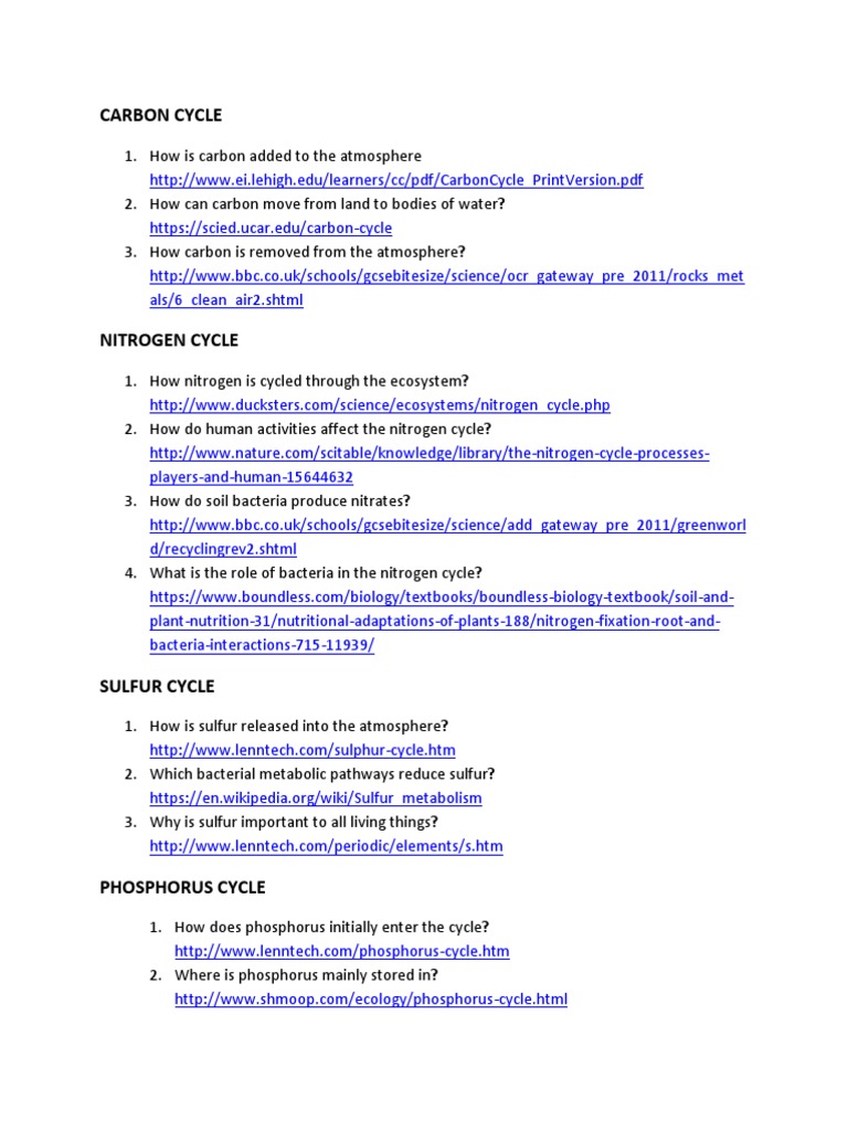 Understanding Biogeochemical Cycles | PDF