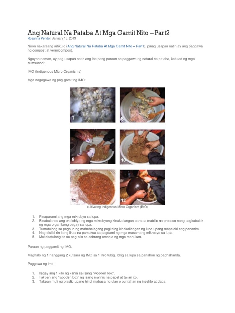 Ang Natural Na Pataba at Mga Gamit Nito | PDF