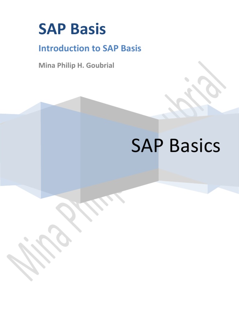 SAP Basics | PDF