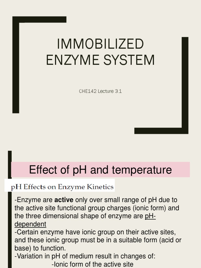 An Overview of Immobilized Enzyme Systems: Characterization of ...