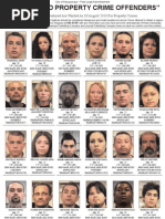 Suspect Description Form | PDF