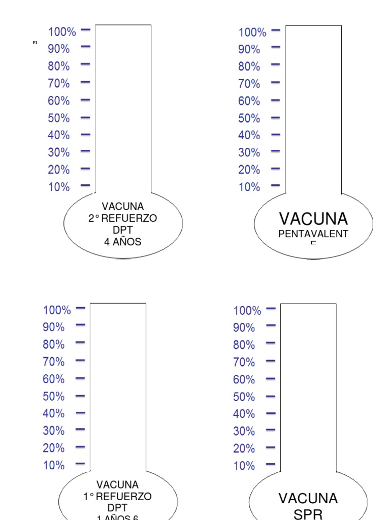 Modelo de Vacunómetro 2024 | PDF | Salud y bienestar
