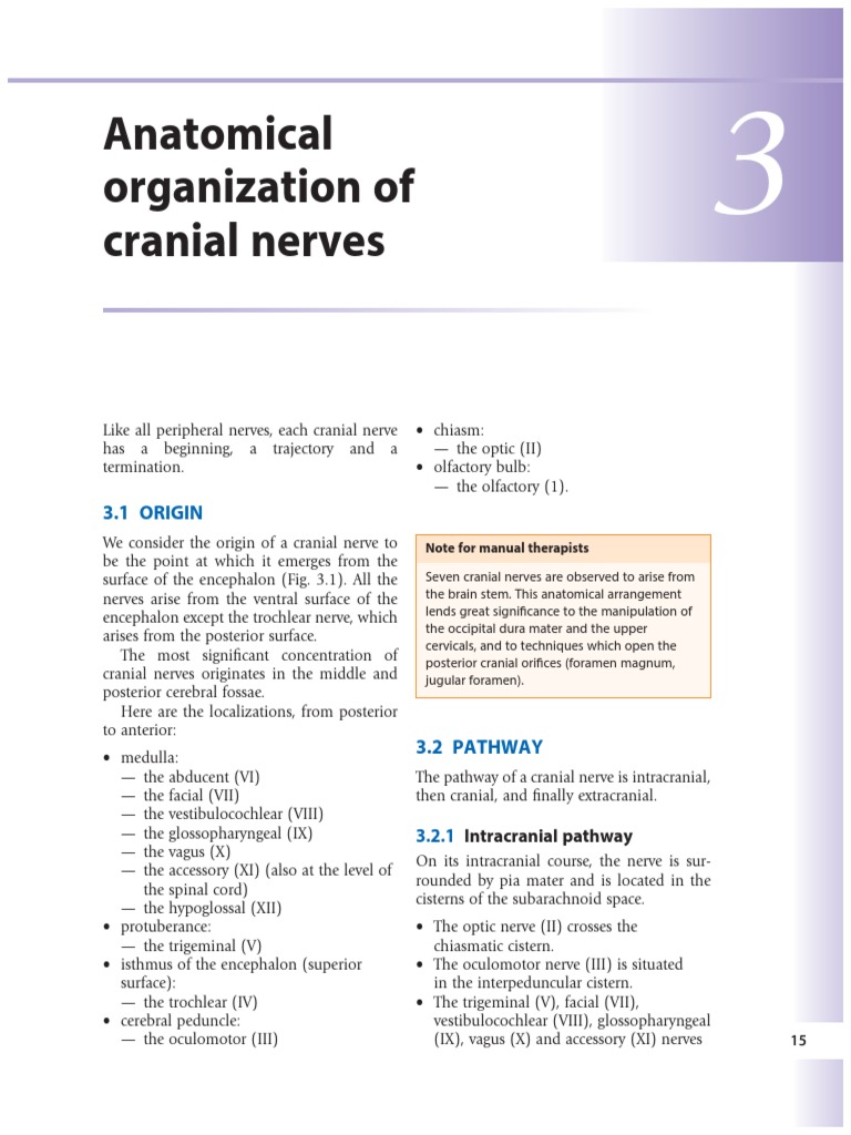 Chapter 3 Anatomical Organization of Cranial Nerves 2009 Manual Therapy ...