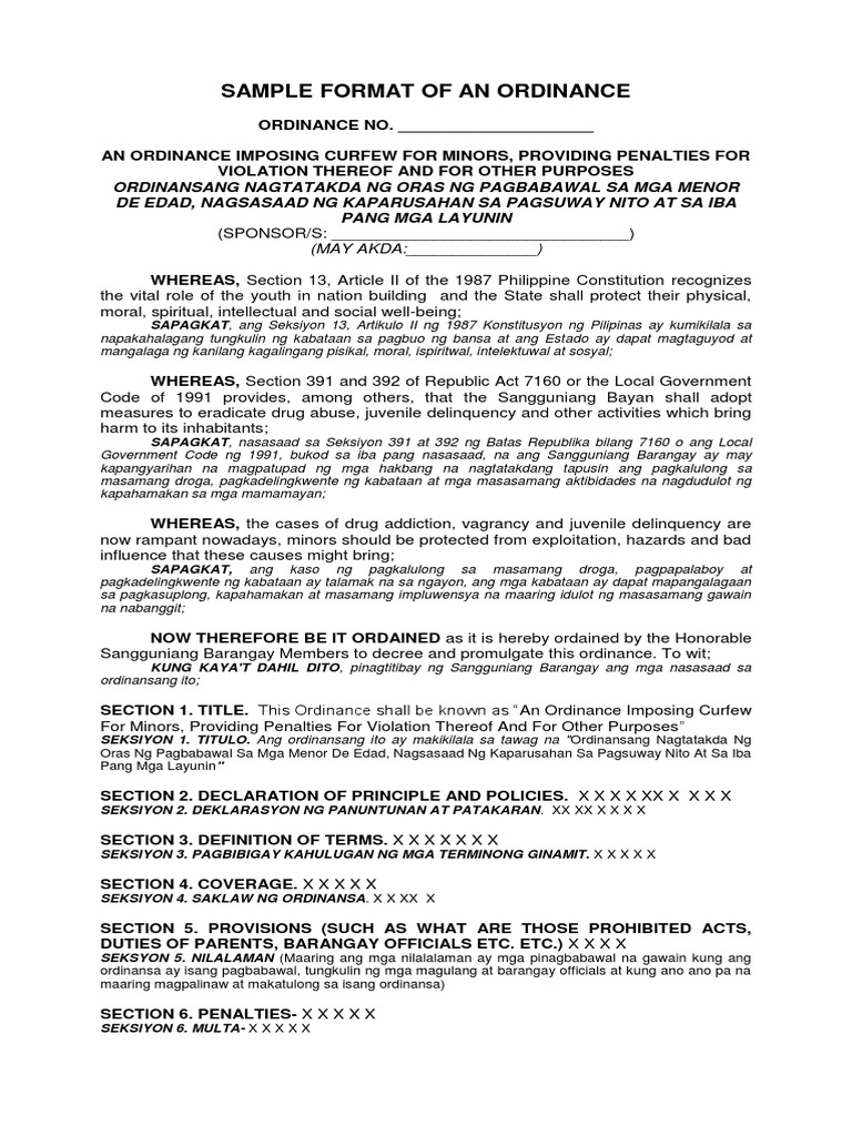 Format Ordinance Curfew | PDF