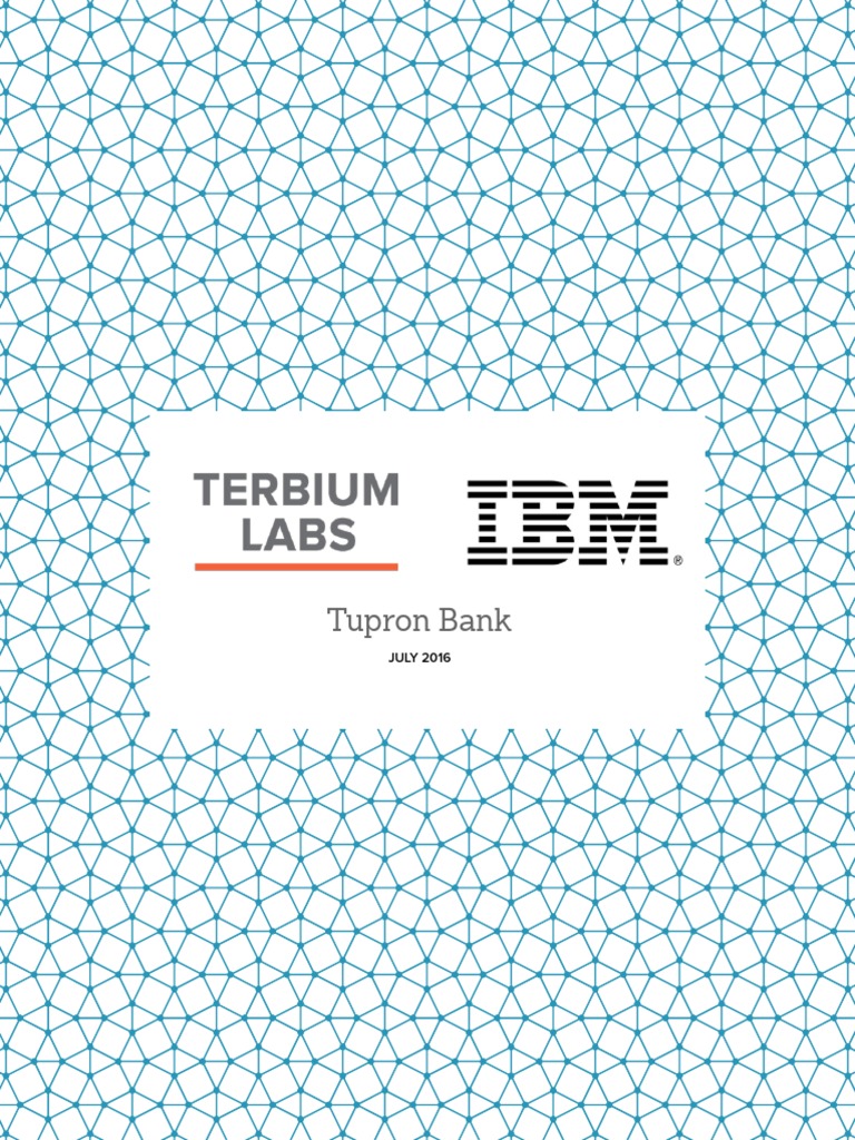 Ibm Carding White Paper | PDF | Cyberwarfare | Security