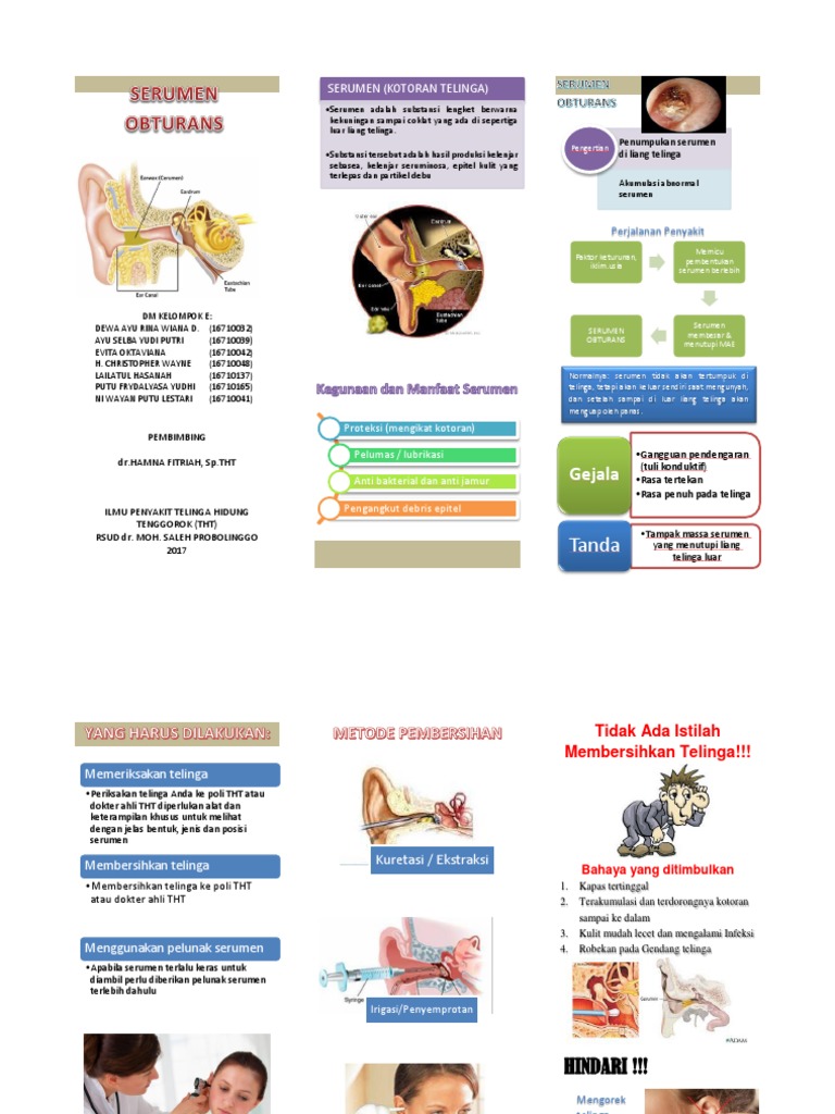 Leaflet Serumen Obturans | PDF