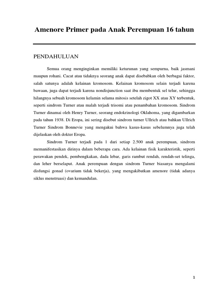 Amenore Primer | PDF