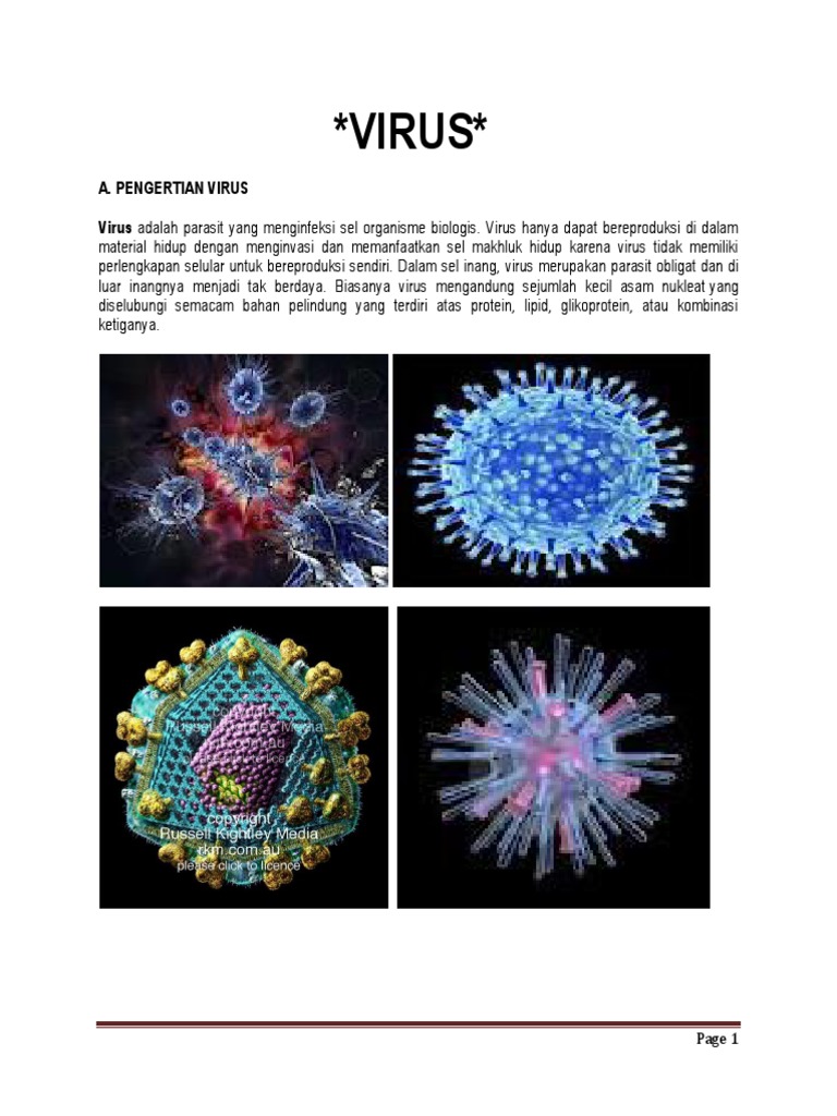 Pengertian Virus | PDF | Sains & Matematika
