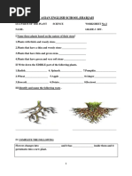 CBSE Class 3 EVS Worksheet - 3 PDF | PDF | Leaf | Plants