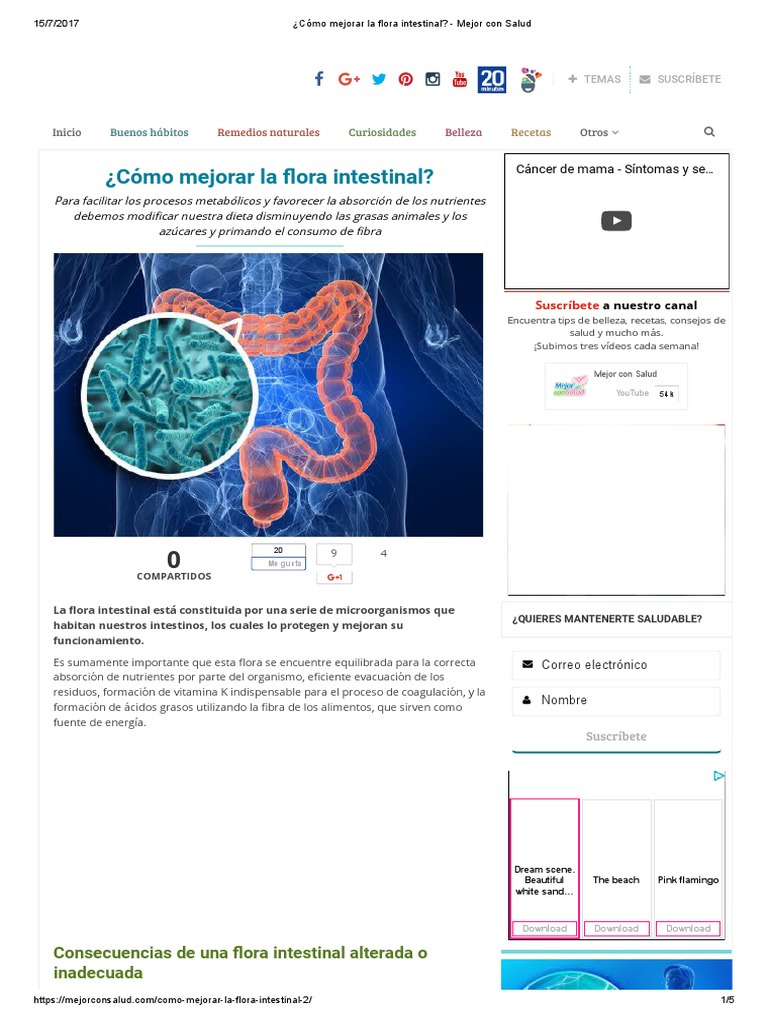 Mejora de la flora intestinal | PDF | Antibióticos | Alimentos
