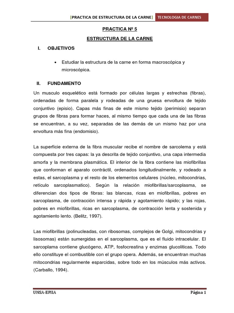 Practica 5 Estructura de La Carne | PDF | Músculo | Carne