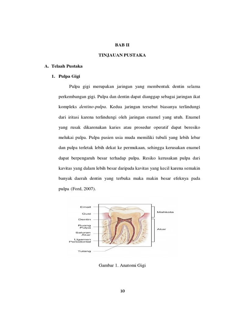 Capping Pulpa | PDF | Kesehatan Holistik