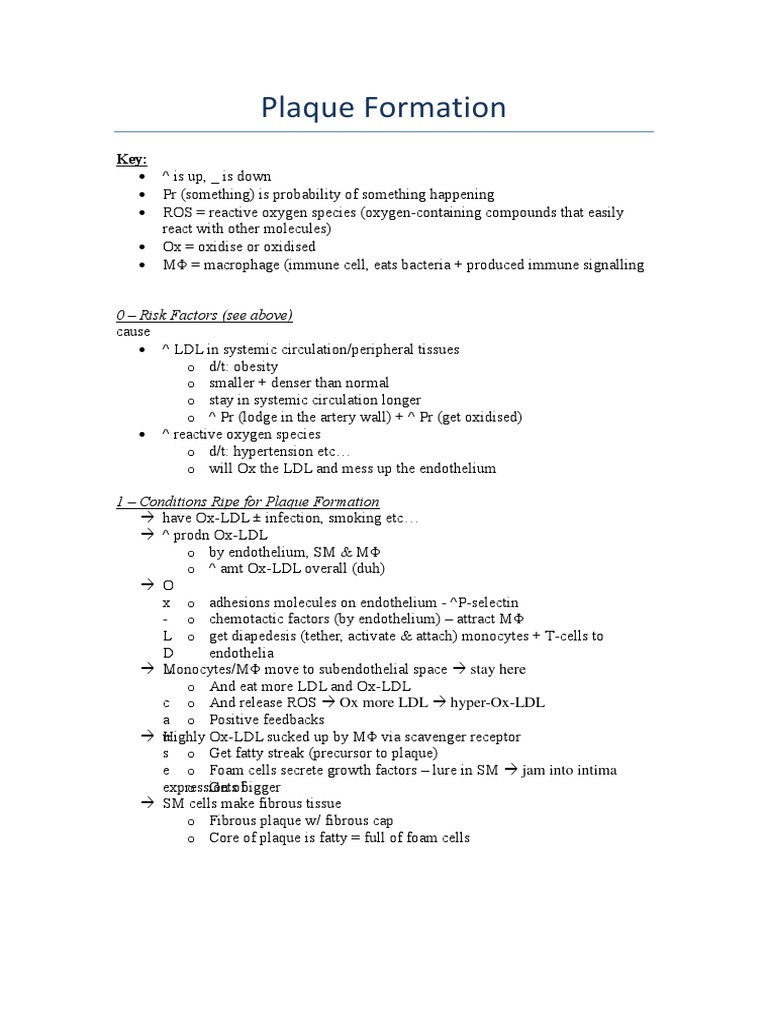 Plaque Formation (PBL) | PDF | Endothelium | Atheroma
