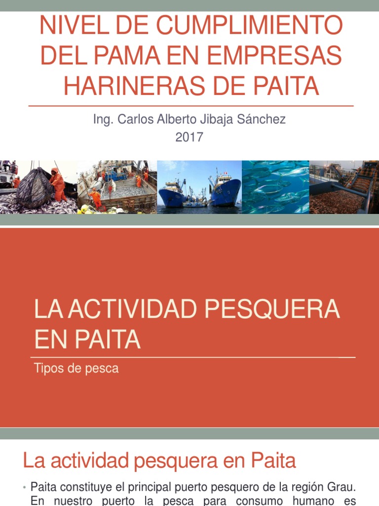 Nivel de Cumplimiento Del PAMA en Empresas Harineras de Paita | PDF ...