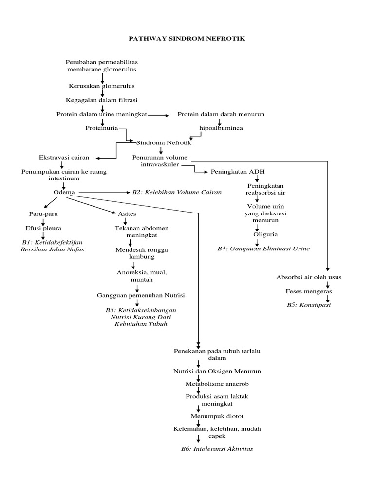 Pathway Sindrom Nefrotik pada Anak | PDF