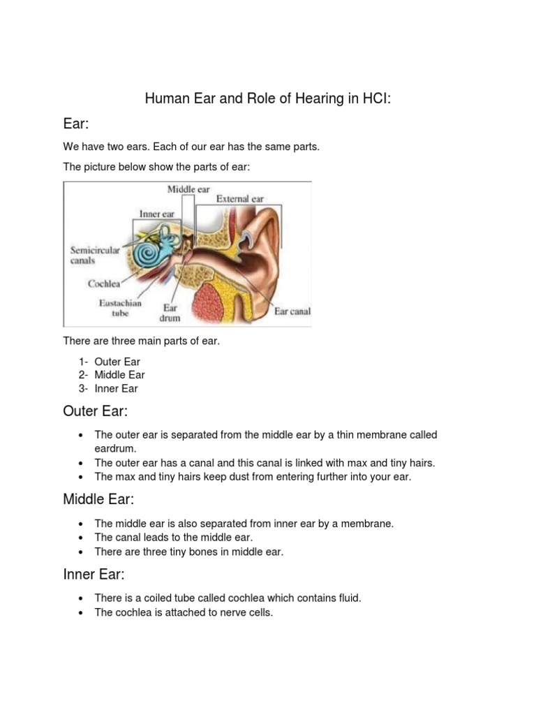 Human Ear Structure and Hearing Functions | PDF | Ear | Hearing
