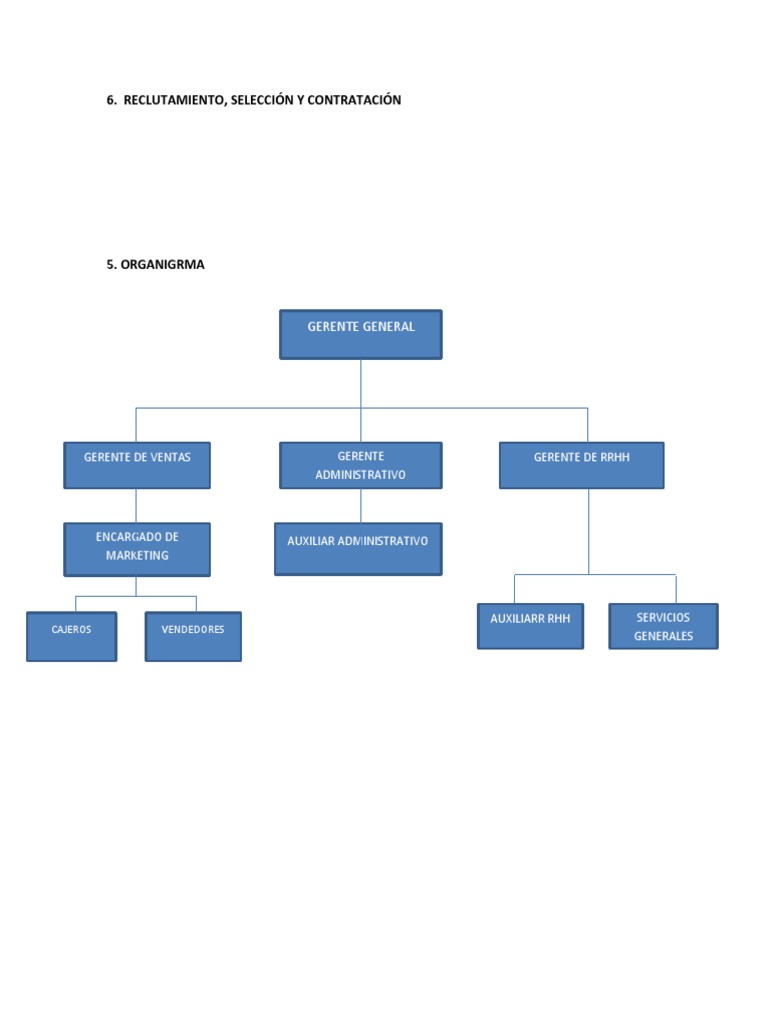Sony Organigrama | PDF | Business | Marketing