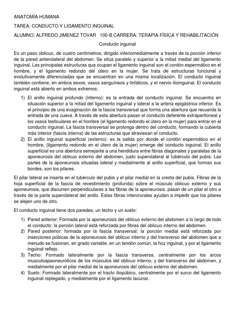 Conducto y Ligamento Inguinal: Anatomía Detallada | PDF | Abdomen ...