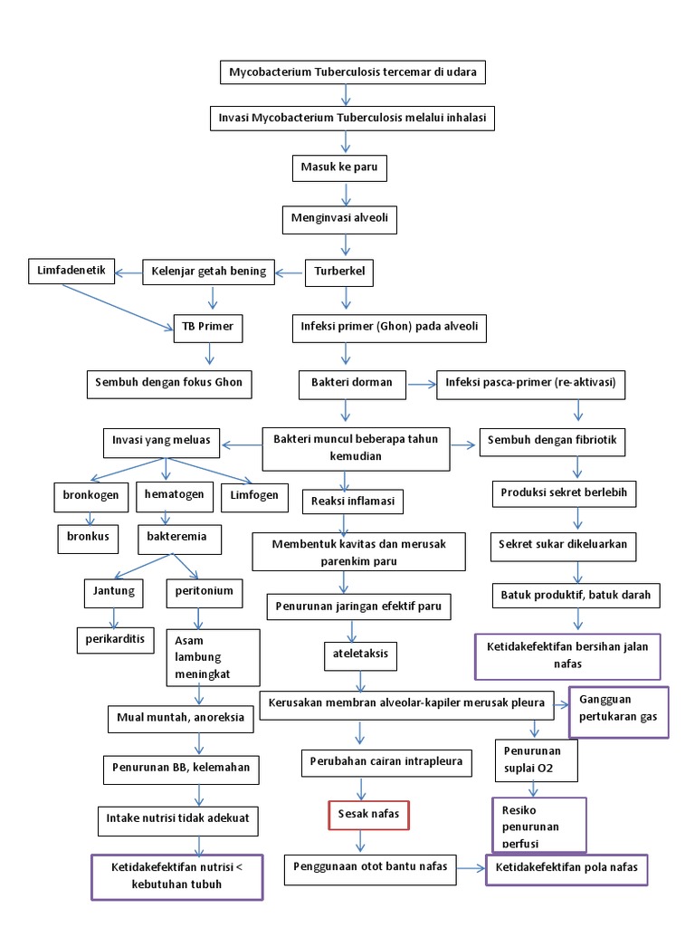 Pathway Dipsnea TBC | PDF