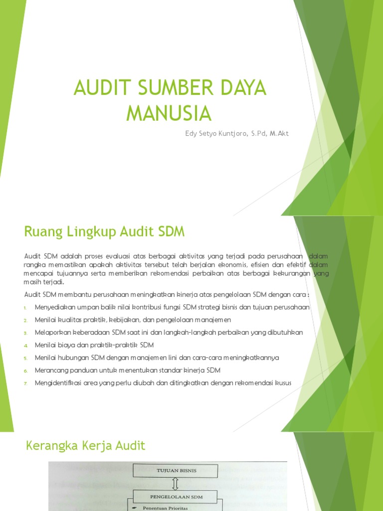 Audit Sumber Daya Manusia | PDF