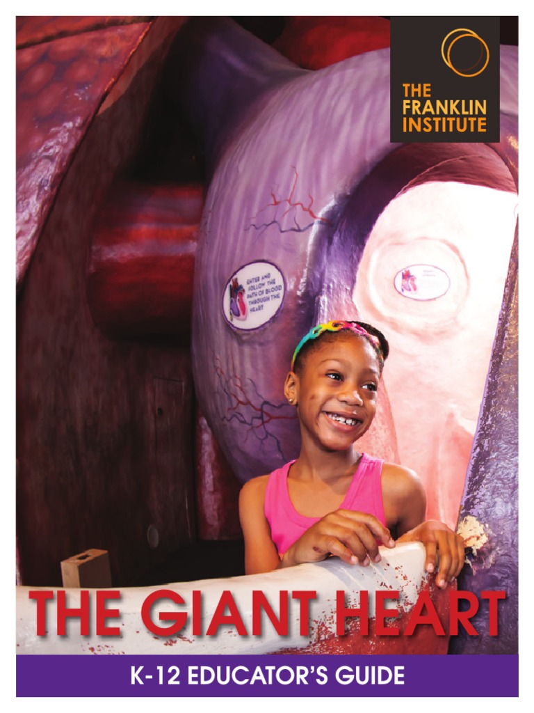 K-12 Guide to The Giant Heart Exhibit | PDF | Heart | Circulatory System
