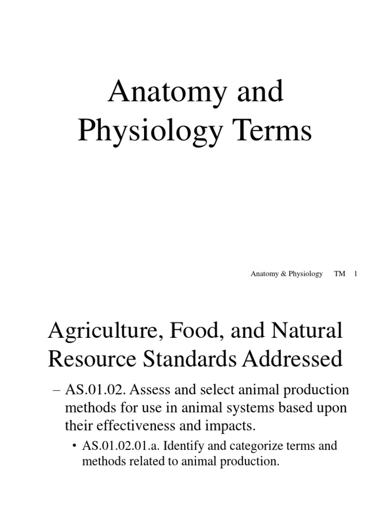 23 Anatomy Physiology Terms | Download Free PDF | Anatomical Terms Of ...