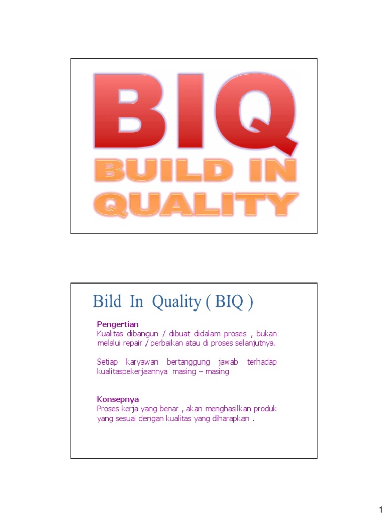 BIQ - Built in Quality | PDF