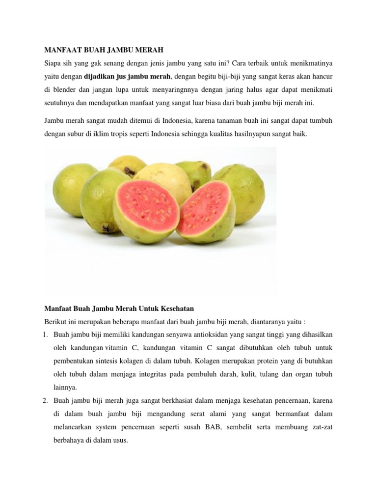 Manfaat Kesehatan Jambu Merah | PDF | Memasak, Makanan, & Anggur ...