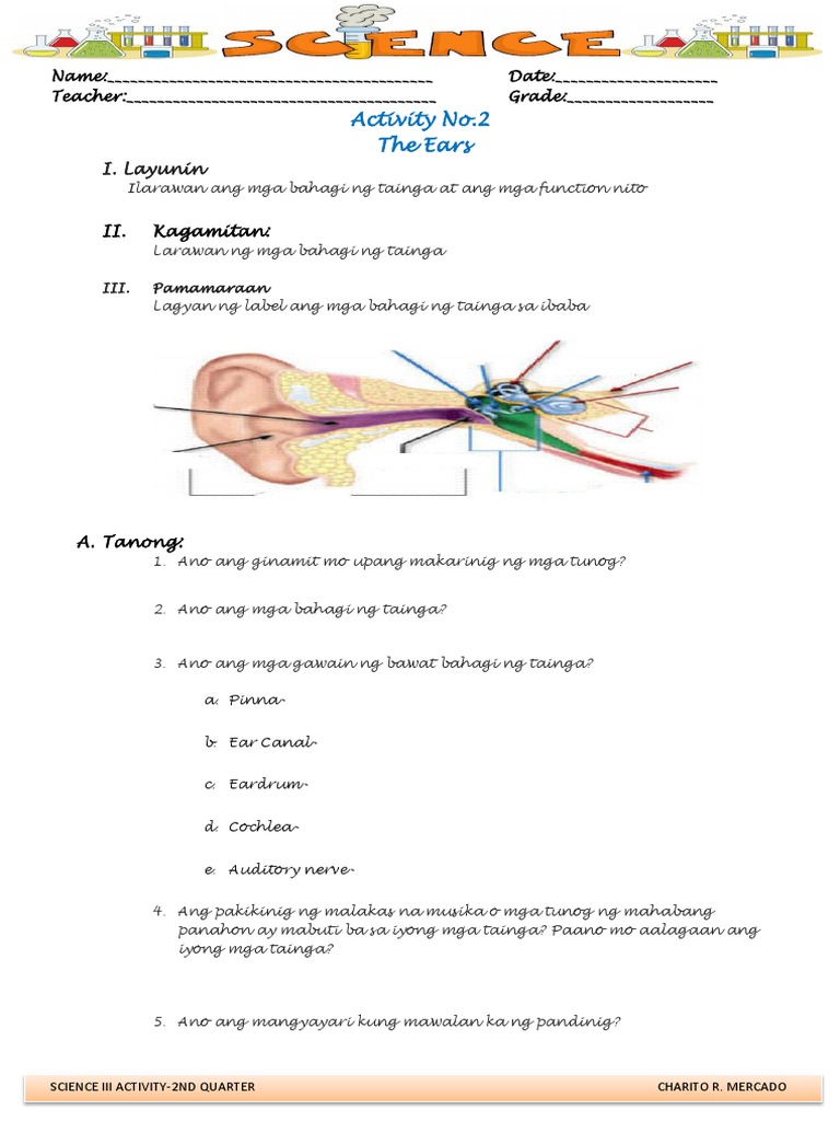 Activity 2 | PDF
