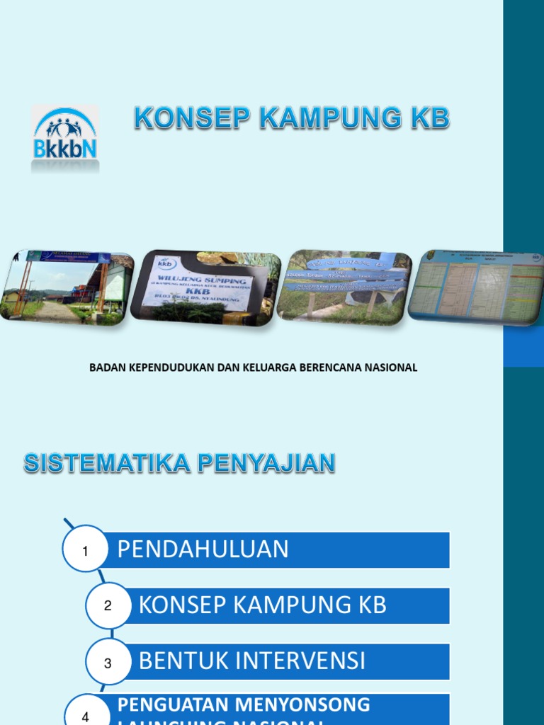 Pelaksanaan Program Kampung KB Nasional | PDF