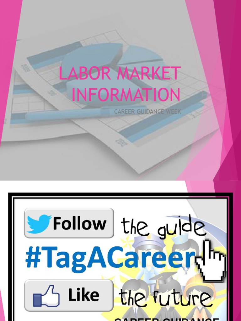 Lmi - Career Guidance Final 2016 | PDF | Job Hunting | Labour Economics