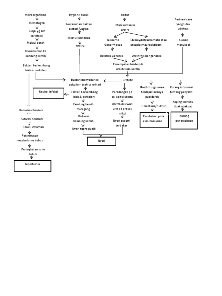 Patofisiologi Uretritis dan ISK | PDF