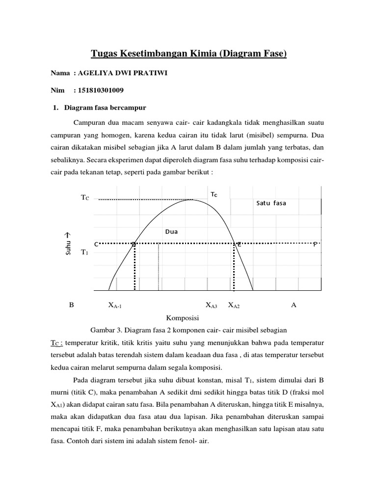 Tugas Diagram Fase | PDF