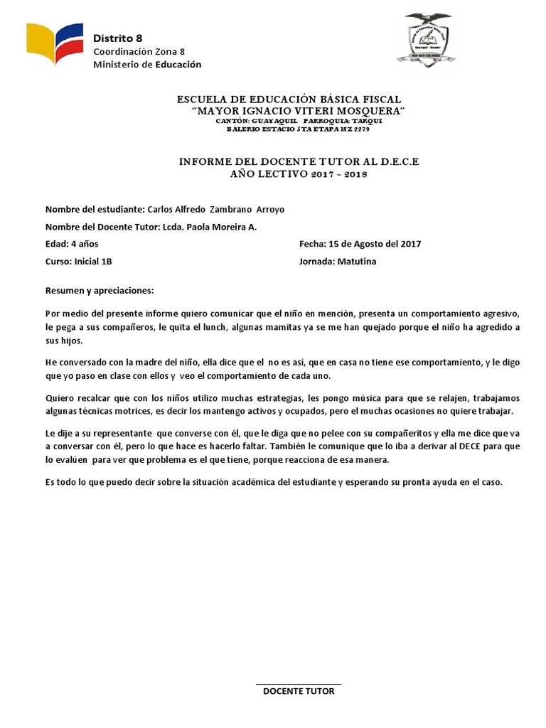 Informe Del Docente Tutor Al Dece Paola | PDF