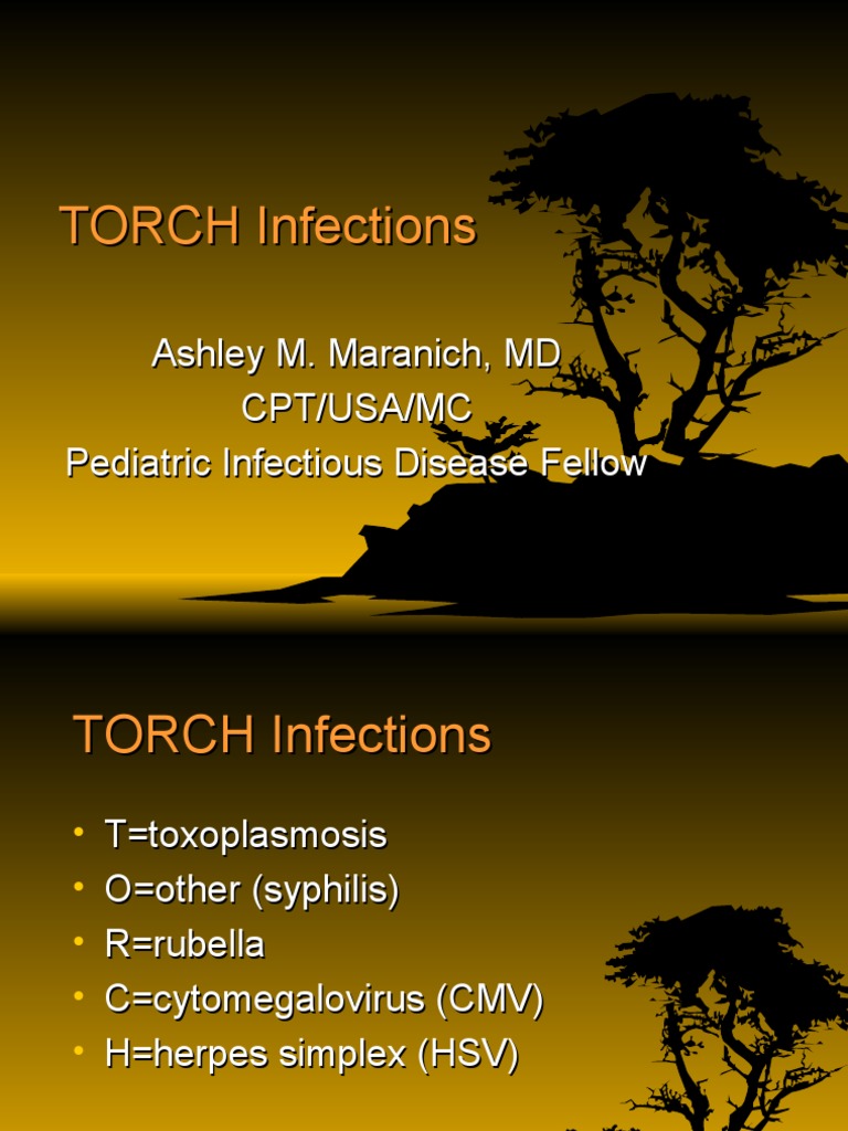 Torch Infection | PDF | Infection | Medicine