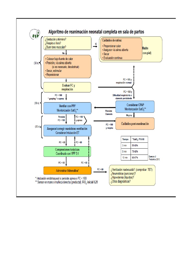 Algoritmo de RCP Neonatal | PDF