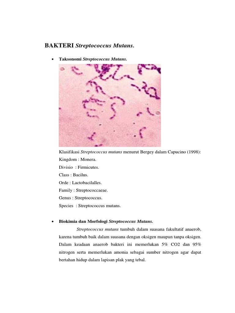 BAKTERI Streptococcus Mutans | PDF