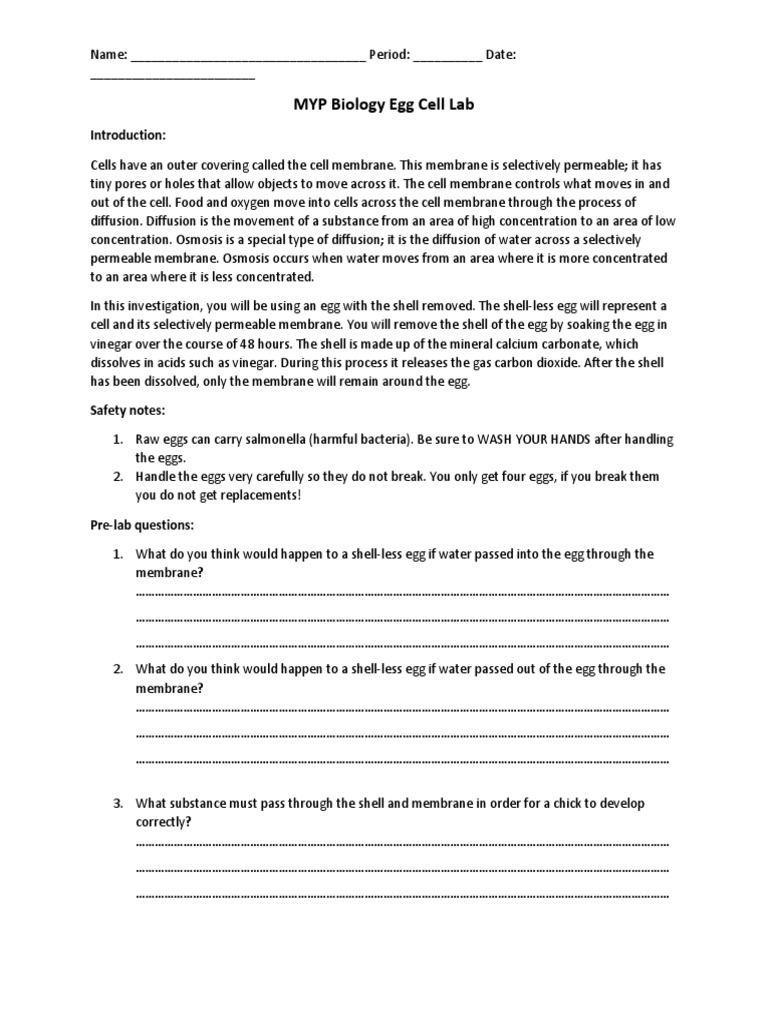 Egg Osmosis Lab Experiment | PDF | Cell Membrane | Osmosis