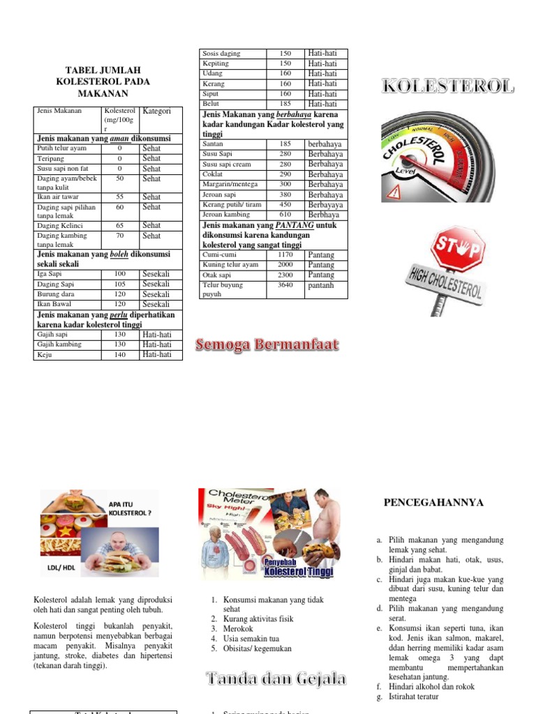 Leaflet Kolesterol | PDF