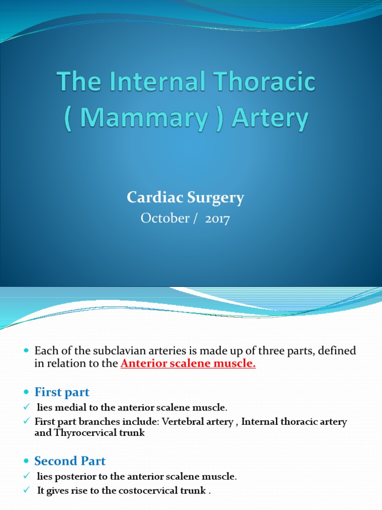 Internal Mammary Artery | PDF | Angiology | Human Anatomy