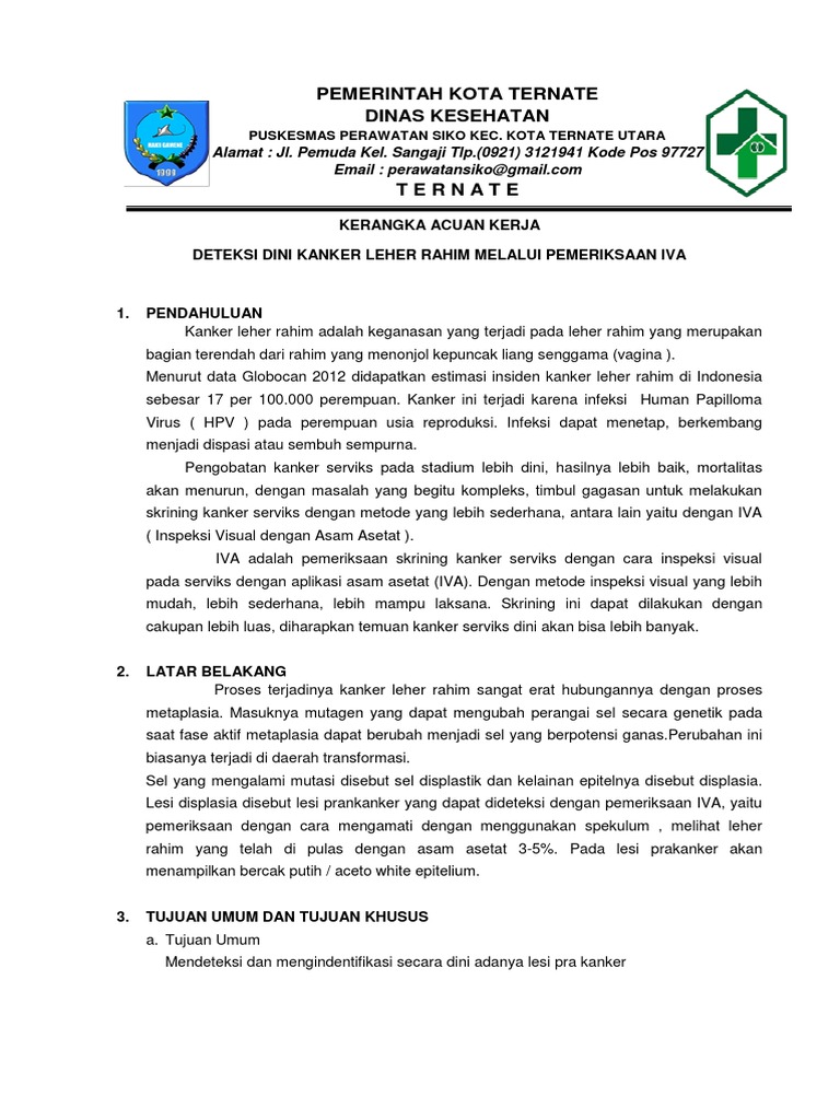 Kak Pemeriksaan Iva | PDF