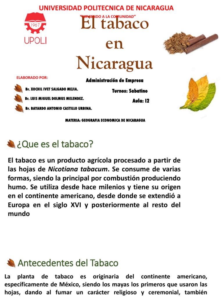 Cultivo Y Exportación De Tabaco En Nicaragua Pdf Tabaco Nicaragua