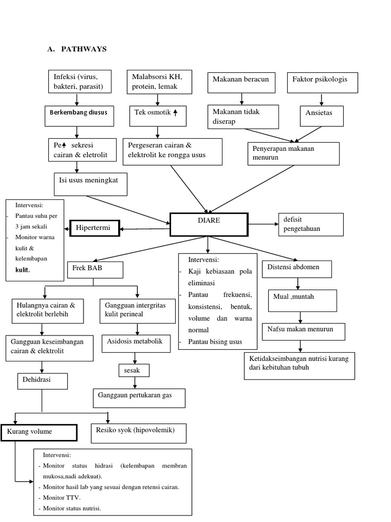 WOC Diare | PDF