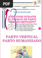 Maniobras Obstétricas en el Parto | PDF | Pelvis | Parto