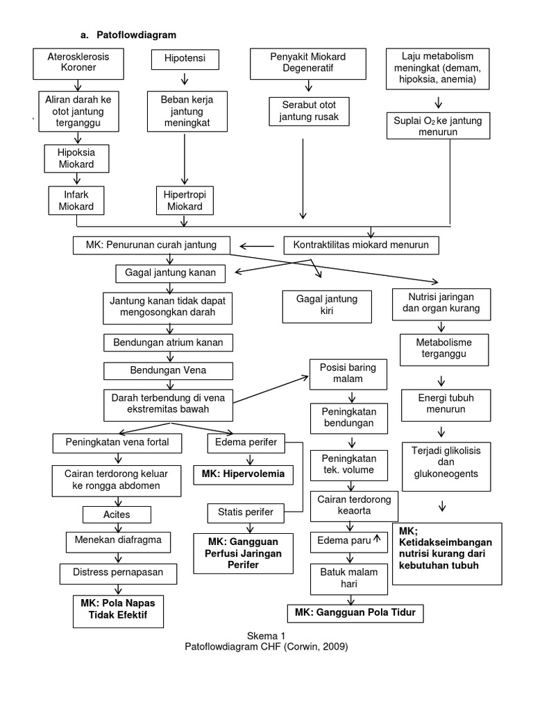 Patoflowdiagram CHF | PDF